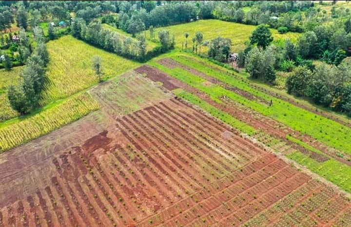 Kulta Properties | 3 bedroom House at kenol